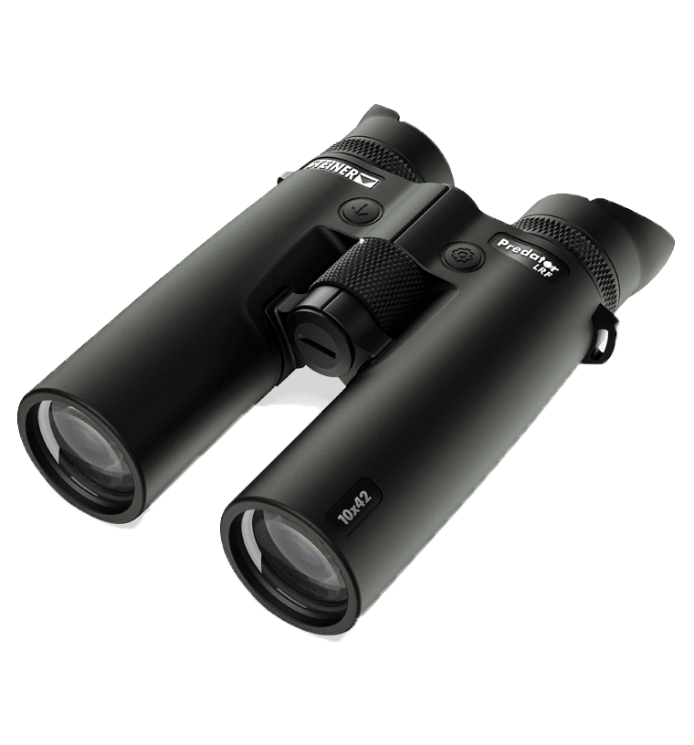 Binoculars – Steiner